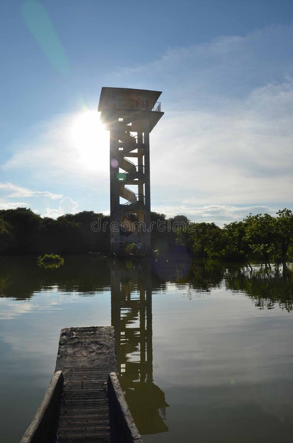 The Shadow of the Tower and Trees is Reflected on the Surface of the ...