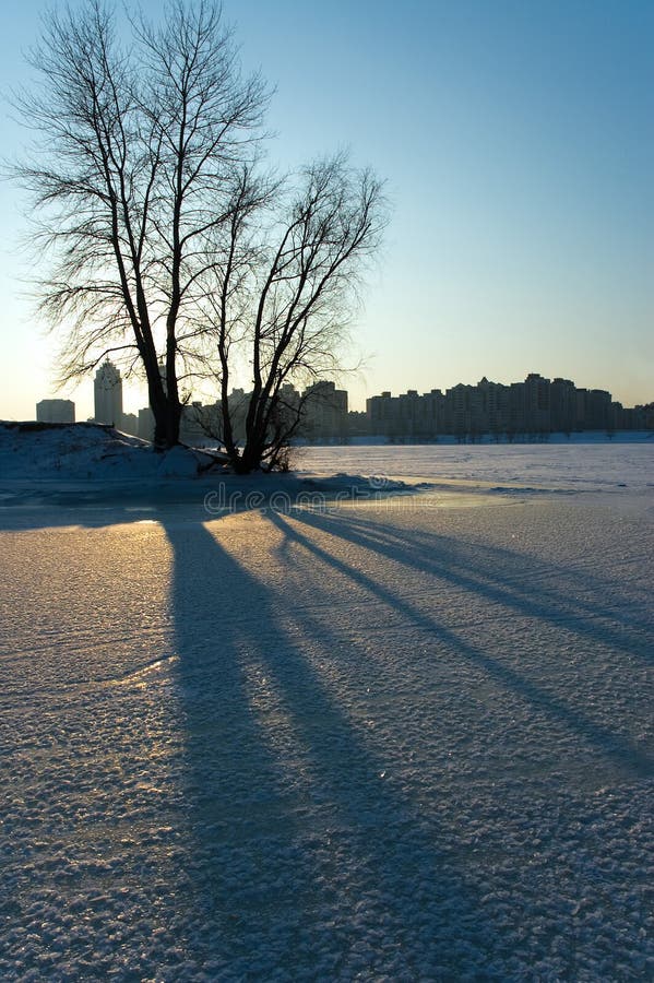 Shadow from a tree stock image. Image of landscape, frost - 8499081