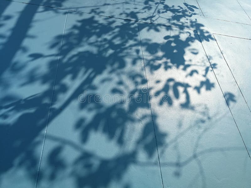 Tree Leaves Shadows on Blue Wall, Shadows and Lights. Stock Photo ...