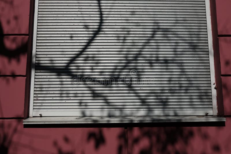 Shadow of Tree Branches on Pink Building with Plastic Window Shutters ...