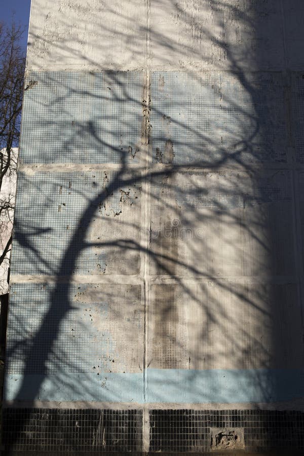 Shadow of Tree on Building. Sun Shadow on Wall Stock Image - Image of ...
