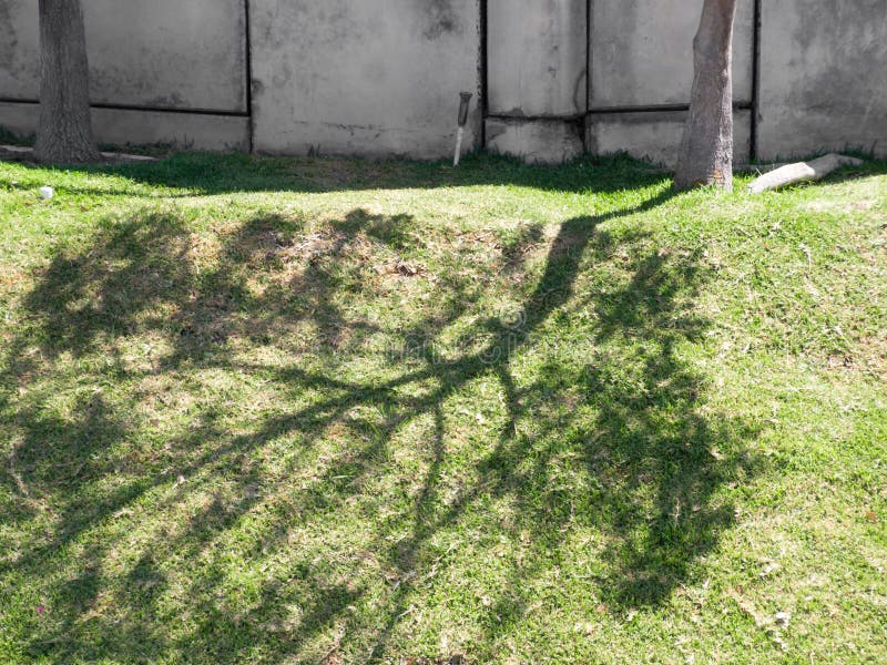 Shadow of a Tree in Decorative Garden, Concept Tree Stock Image - Image ...