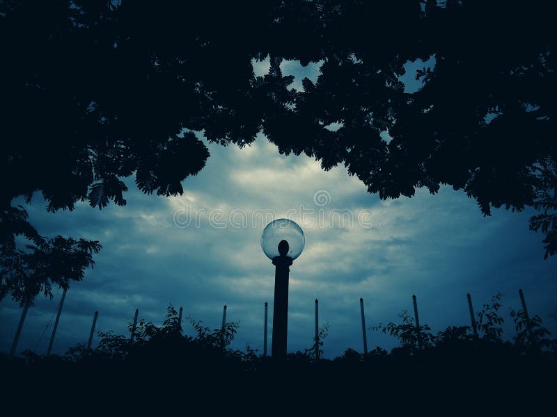 Shadow of the Tree in the Evening Stock Photo - Image of nature, night ...
