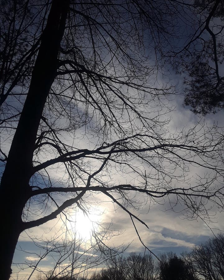 Shadow tree stock image. Image of clouds, shadow, evening - 122835915