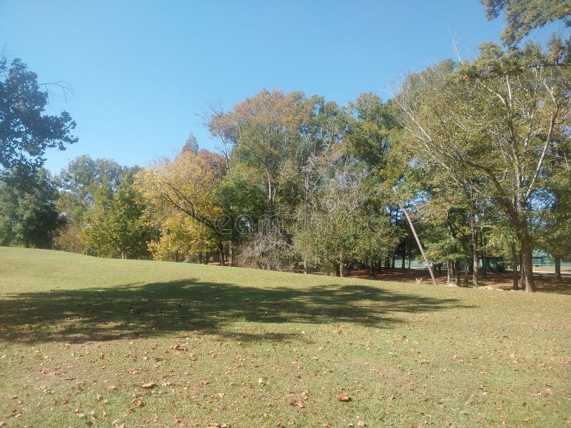 The Shadow Tree in the Fall in the Park Stock Image - Image of trees ...