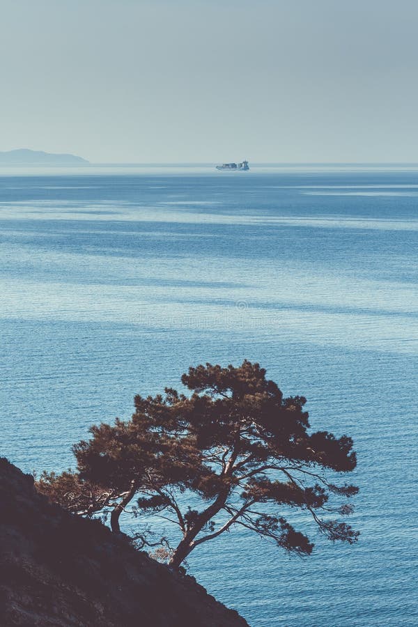 Shadow of Tree in Front of Blue Sea View Stock Image - Image of turkey ...