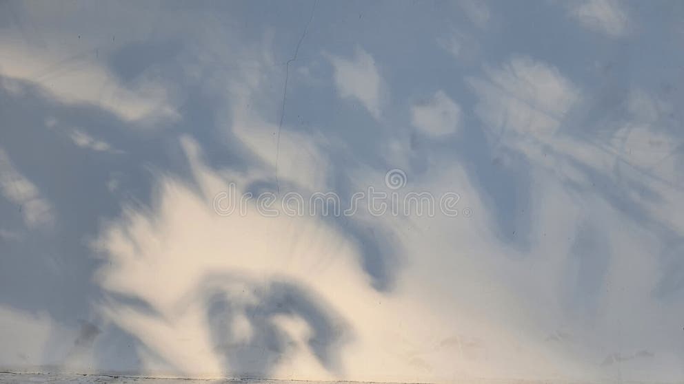 Shadow of a Tree on a Grey Concrete Wall. Midday Sunlight Casts Shadows ...