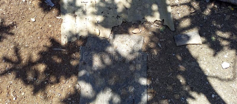 The Shadow of a Tree in the Middle of a Yard Stock Photo - Image of ...