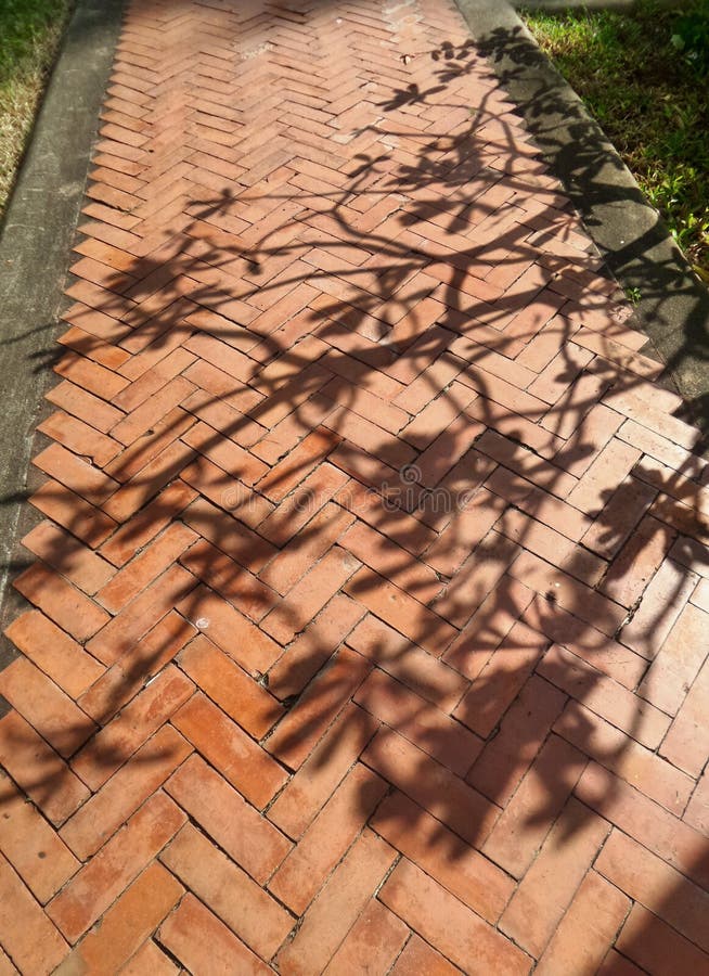 Shadow of Tree on Red Brick Foot Path in the Garden Stock Image - Image ...