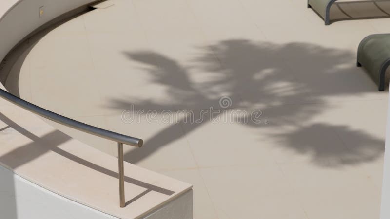 Shadow of Tree Cast on Ground Stock Video - Video of shade, wildlife ...
