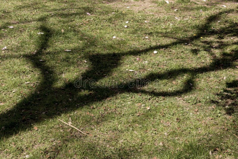 Shadow of the tree stock photo. Image of nature, autumn - 142784114