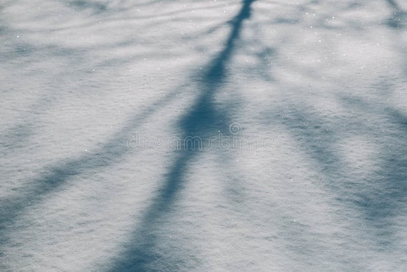 Shadow from a Tree in the Snow. Shade of Tree Silhouette on a Snow ...