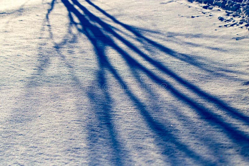 Shadow of a Tree in the Snow at Sunset Stock Image - Image of landscape ...