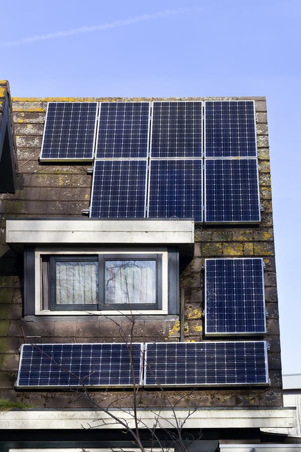 Shadow of a Tree on Solar Panels Stock Image - Image of environment ...