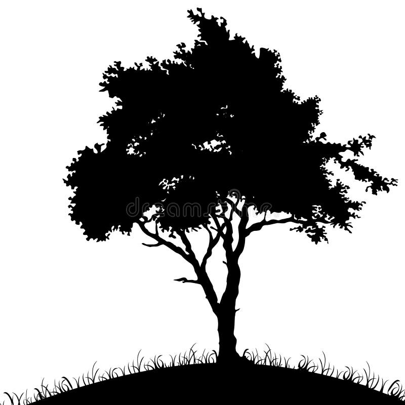 Shadow of a tree, stock vector. Illustration of nature - 101778300