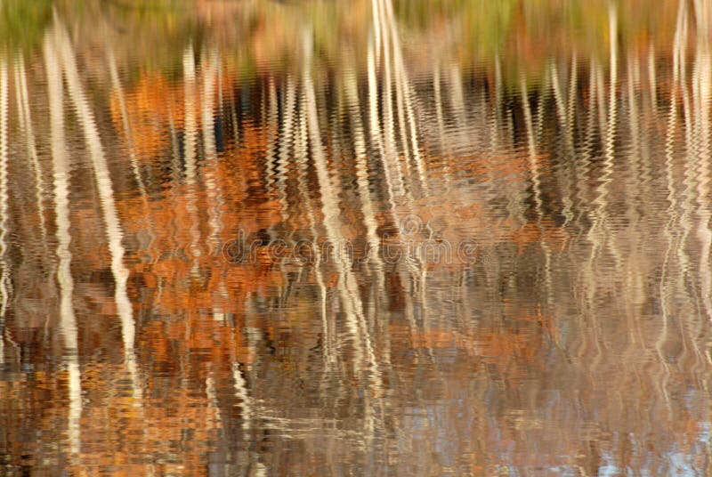 Shadow of tree on water stock image. Image of blue, mind - 80108071