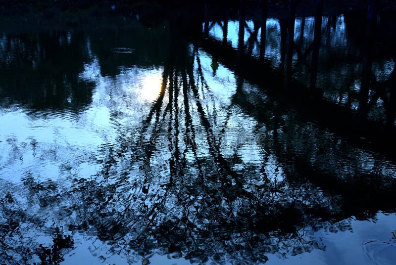 Shadow of tree on water stock photo. Image of green, peace - 80288102