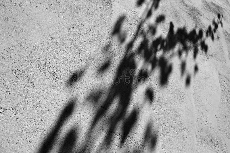A shadow on the wall stock photo. Image of cold, surface - 314526534