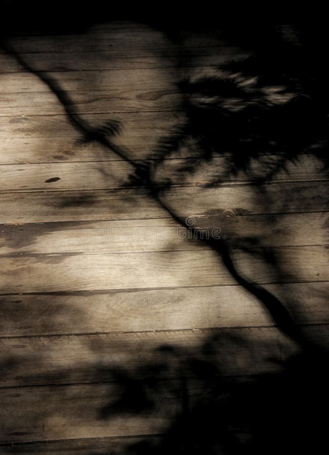 Shadow stock image. Image of outdoor, indoor, contourn - 208635