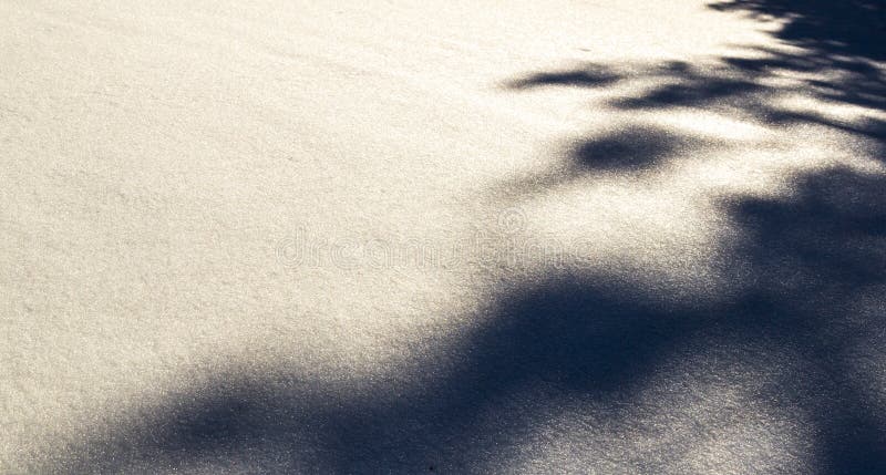 Abstract View of Shadow of Trees on Snow Stock Photo - Image of leather ...