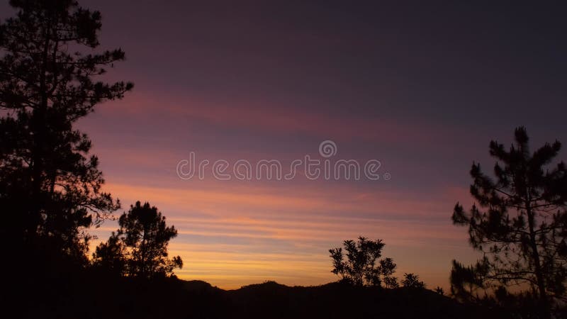The Shadow of the Trees on the Mountain at Sunset Stock Video - Video ...