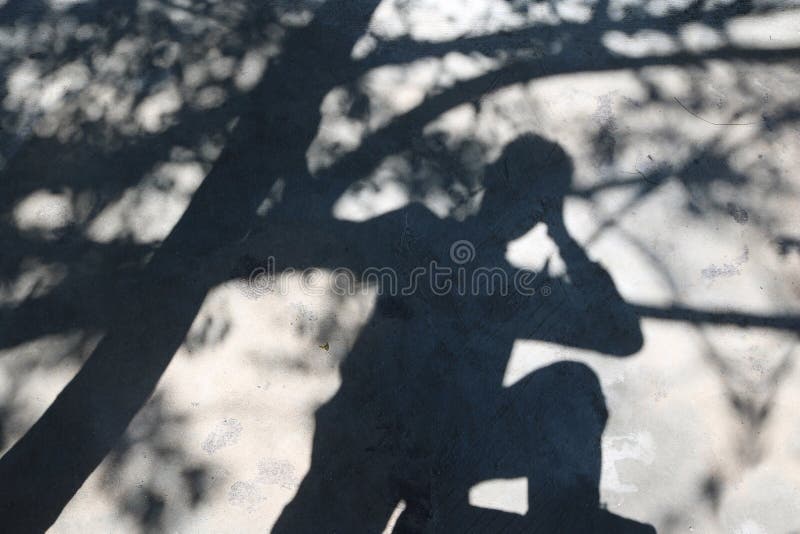 The Shadow of the Trees and People. Stock Photo - Image of people ...