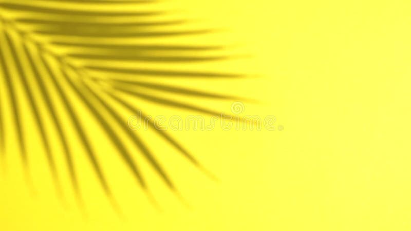 Shadow of Tropical Leaves and Palm Tree on a Colored Yellow Background ...