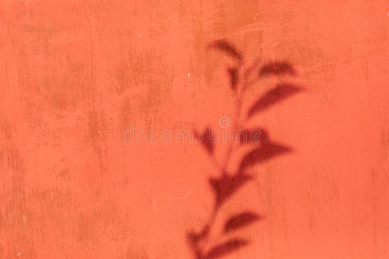 A Red Metal Wall with the Shadow of a Twig. Copy Space Stock Photo ...