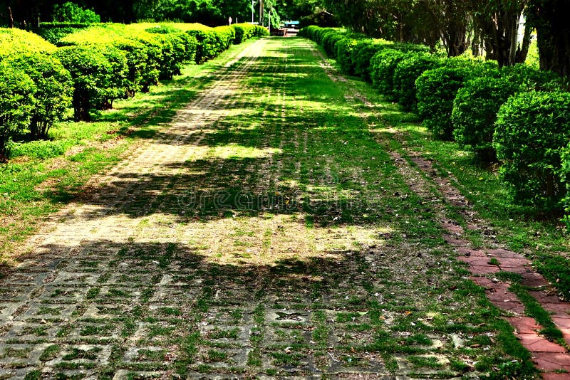 Shadow under sunshine stock image. Image of objects - 124905957