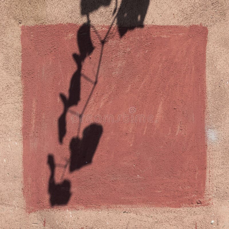 Shadow of Vine on the Wall. Stock Image - Image of leaf, pattern: 253261731