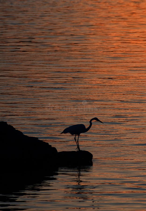 A Shadow Waiting To Be Lost in the Night Stock Image - Image of lost ...