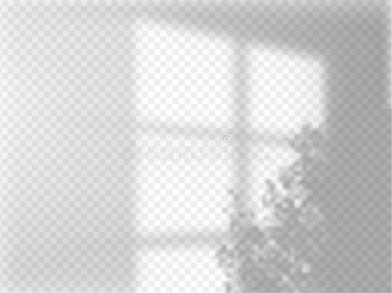 Shadow on Wall, Blurred Soft Shadow from the Window and Tree Leaves ...