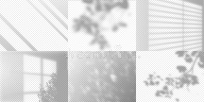 Shadow on Wall, Sun Light from Window Blinds and Leaves, Overlay Effect ...