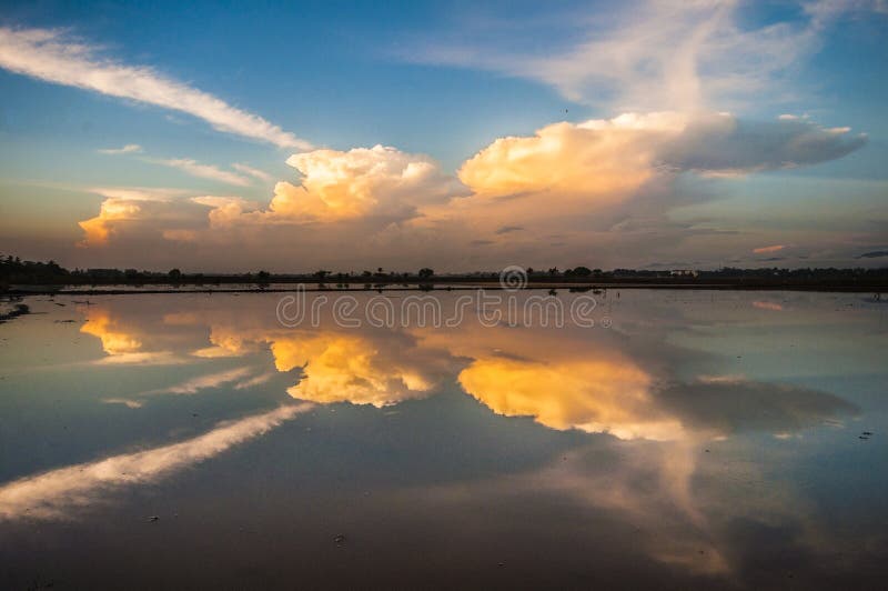 Shadow at the water stock image. Image of long, time - 51244329