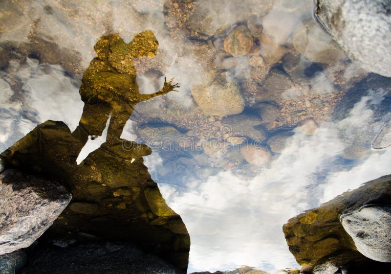 A shadow in the water stock image. Image of lake, stones - 128732895