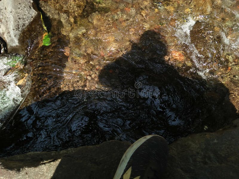 Shadow at Waterfall stock image. Image of rock, leaf - 207787741