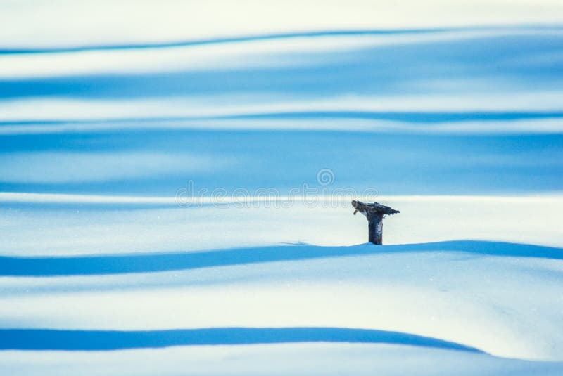 Shadow of Waves of Sea Water Stock Image - Image of land, bubbly: 189453511