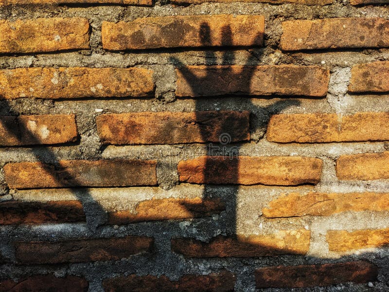Photo of the Shadow of a Hand Waving on the Wall Stock Photo - Image of ...