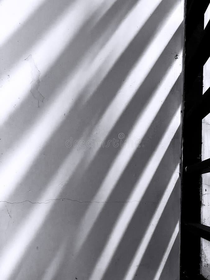 Shadow on the white wall. stock photo. Image of surface - 249343988