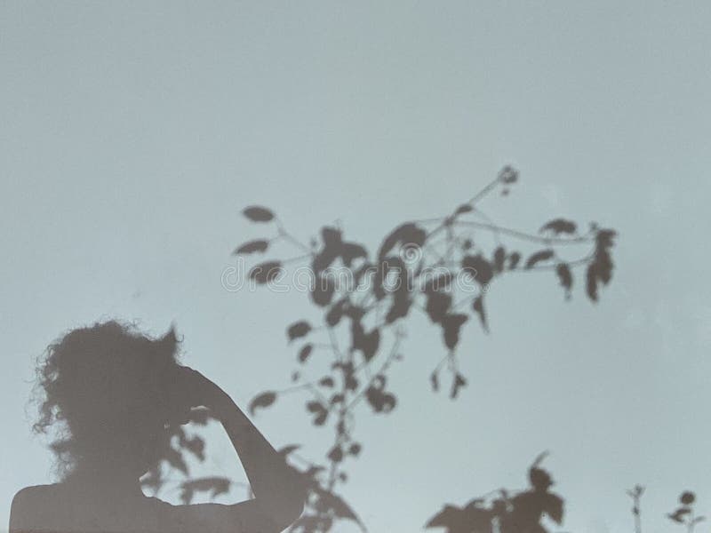 Shadow on White Wall Tree and Girl Stock Photo - Image of girl, white ...