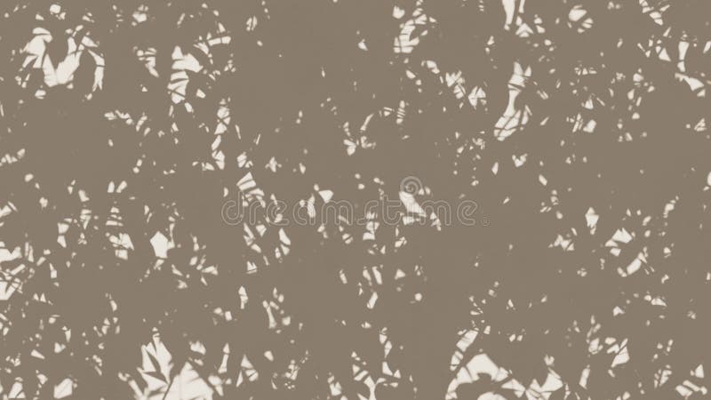 Shadow of Wind in the Tree Leaves on the Wall Loopable Background. 3d ...