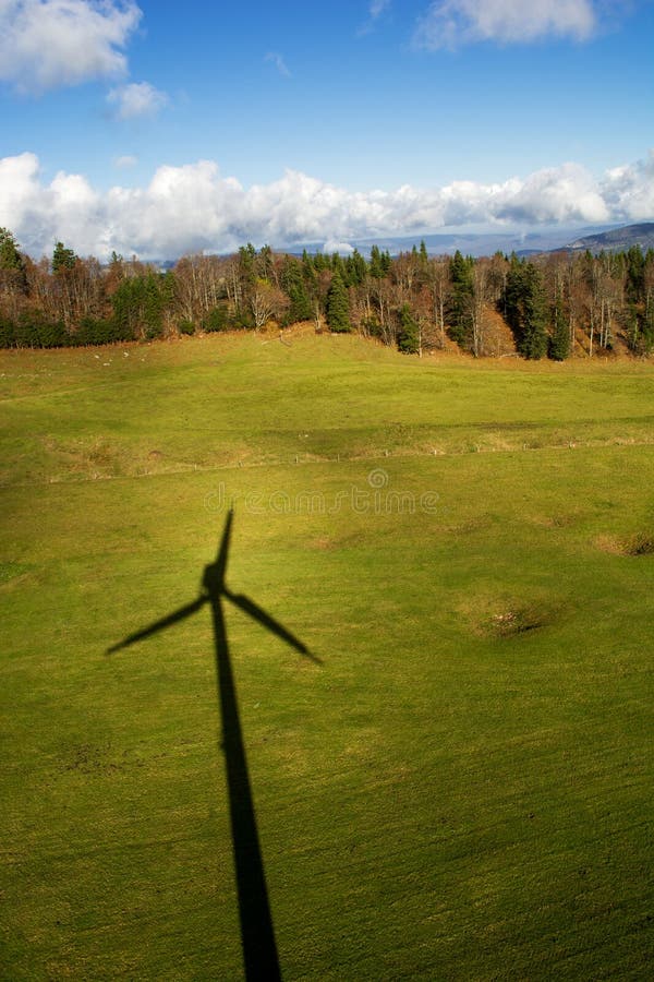 Shadow on snow from a tree stock image. Image of solitary - 33828471