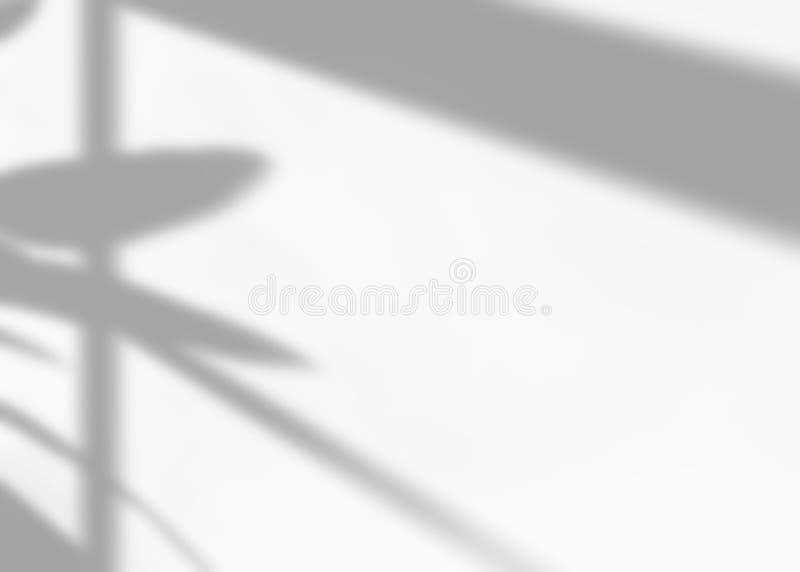 Shadow from Window and Plants, Overlay Effect. Realistic Gray Shadow on ... Shadow from Window and Plants, Overlay Effect. Realistic Gray Shadow on ...