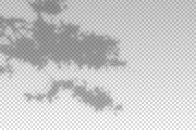 Window Reflection Png Stock Illustrations – 217 Window Reflection Png ...