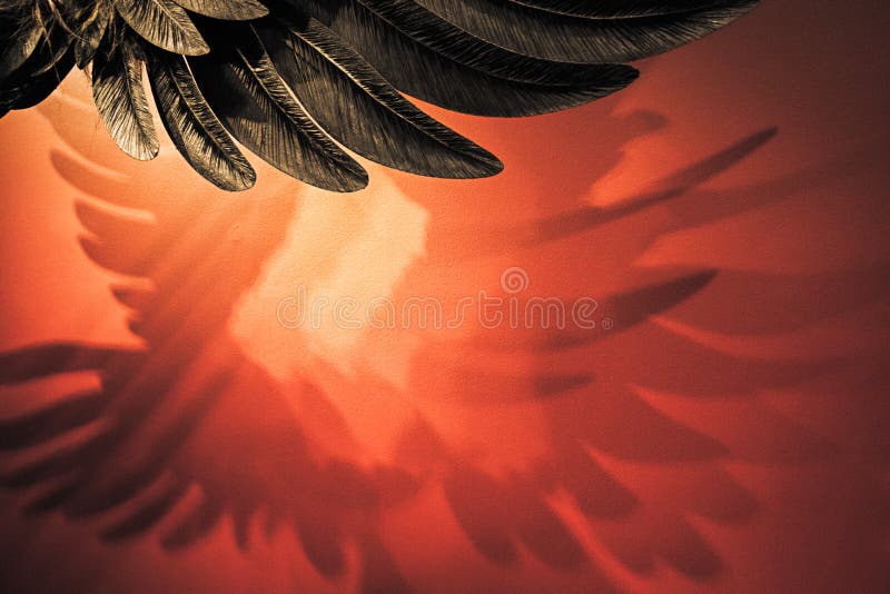 Shadow of the wing stock image. Image of sources, light - 110863665