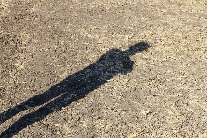 Shadow of a Woman on an Agricultural Field Stock Photo - Image of field ...