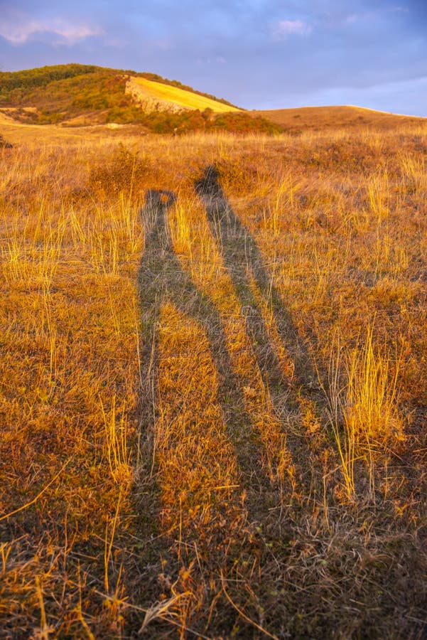 Shadow of Women on the Field Stock Photo - Image of flowers, church ...