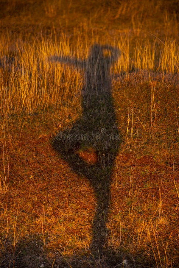 Shadow of Women on the Field Stock Image - Image of flora, field: 186260893