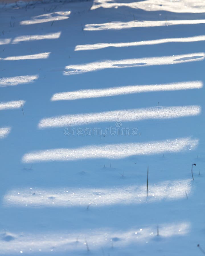 Shadow from a Wooden Fence on the Snow in Winter Stock Image - Image of ...
