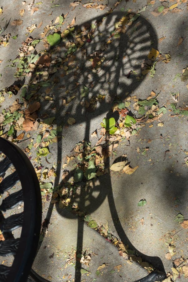 129 Wrought Iron Vines Stock Photos - Free & Royalty-Free Stock Photos ...